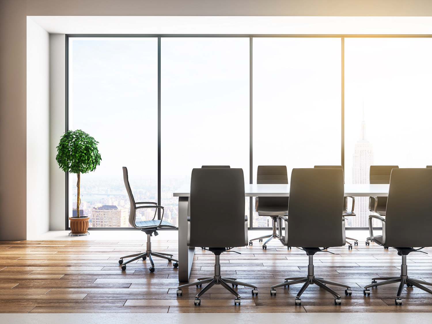 How To Create a Green Office Space - Successfully Sustainable